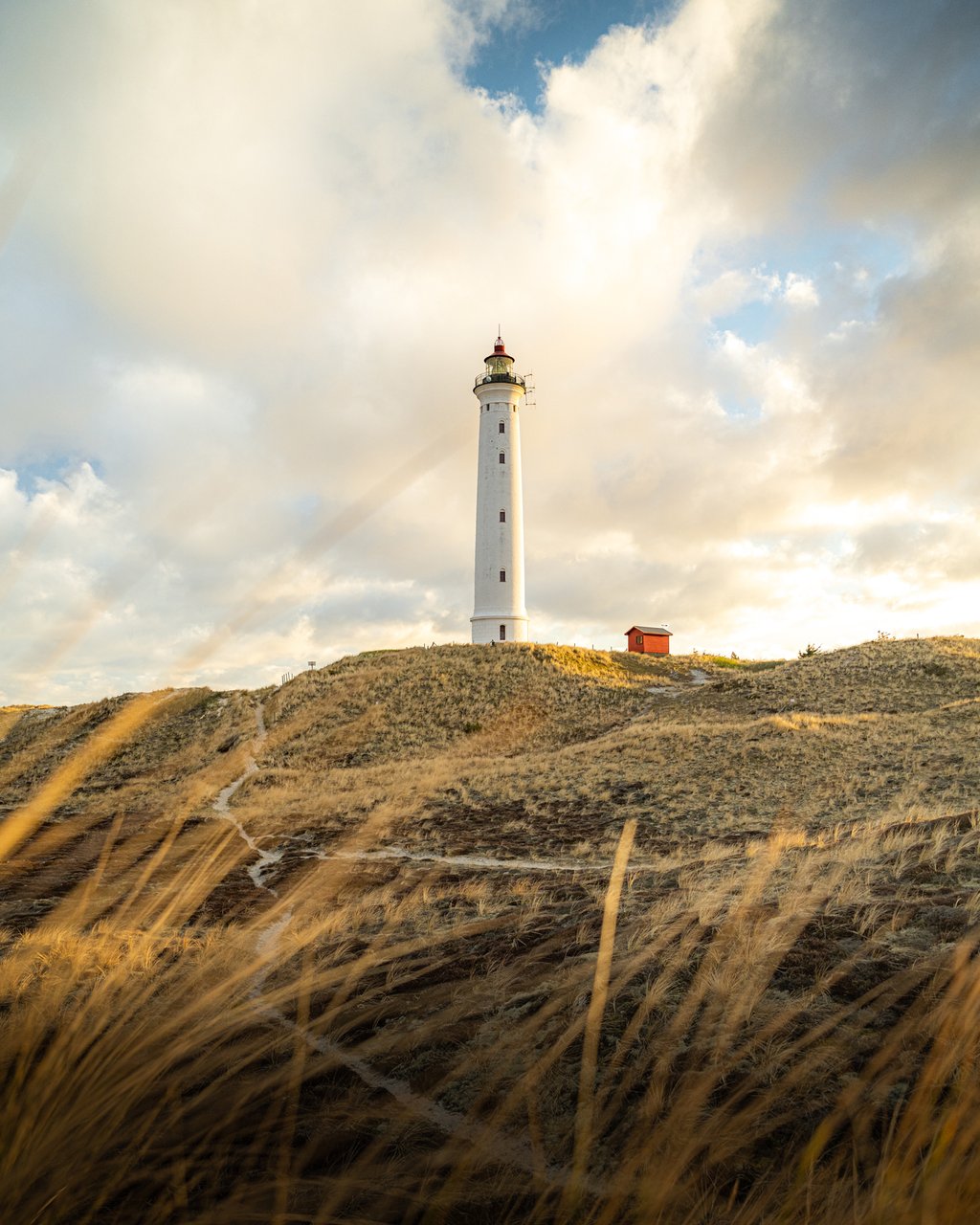 Cycling and Hiking - Søndervig Camping